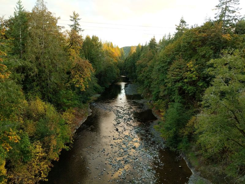 Willapa Hills Trail - Willapa Hills Trail - Park - Chehalis, WA ...