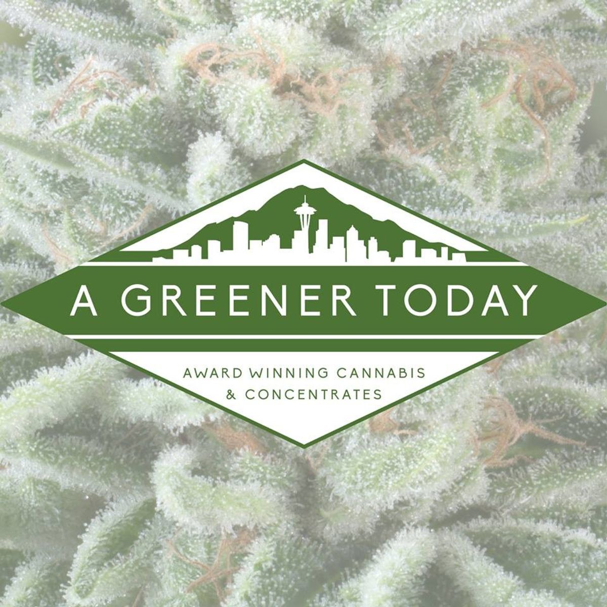 A Greener Today - CLOSED - 15015 Hwy 99, Ste A - Weed Locations ...