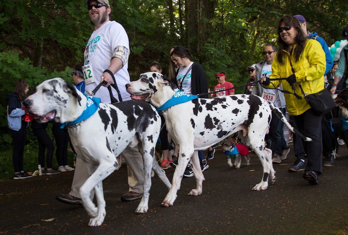 Furry 5K 2020 at Seward Park in Seattle, WA - Sunday, June 14, 2020 ...