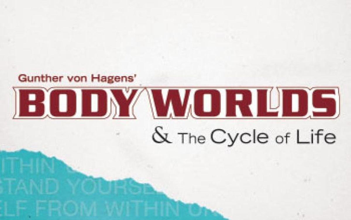 Body Worlds at Oregon Museum of Science and Industry (OMSI) in Portland ...