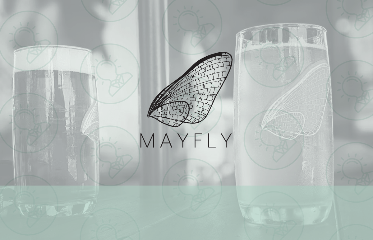 Trivia Thursday at Mayfly at Mayfly Taproom and Bottle Shop in Portland ...