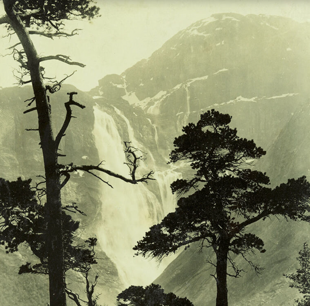 Taking the High Ground: Tough Men and Tough Places in 19th Century ...