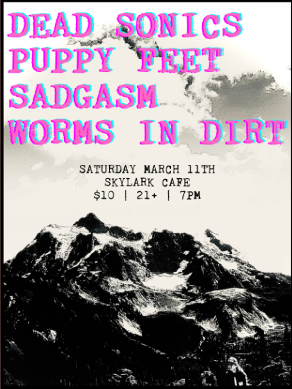 Worms in Dirt, Sadgasm, Puppy Feet, and Dead Sonics at Skylark Cafe ...