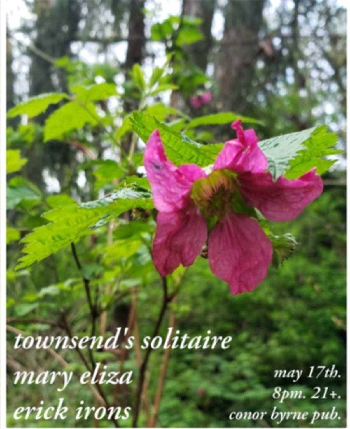 Townsend's Solitaire, Mary Eliza, and Erick Irons at Conor Byrne in ...