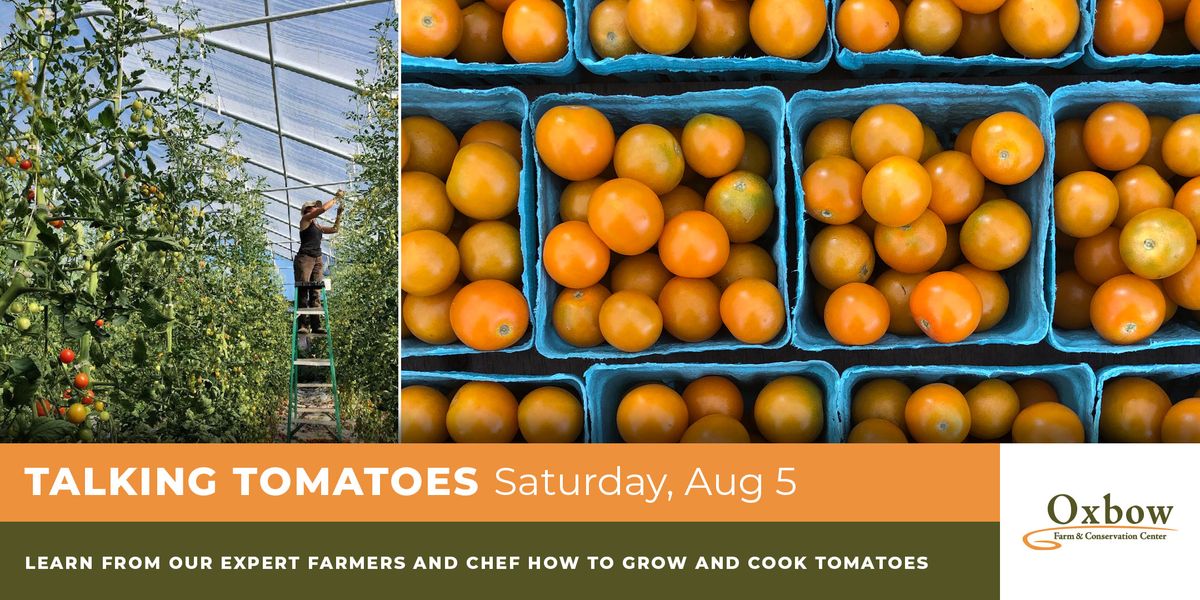 Talking Tomatoes | Oxbow Workshop at Oxbow Farm and Conservation Center ...
