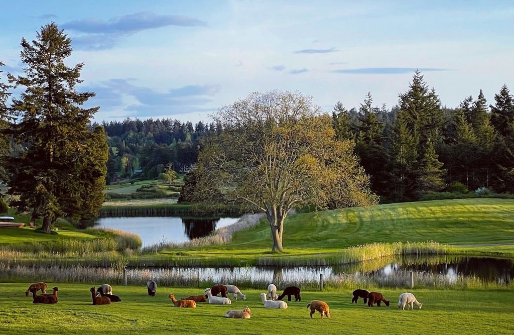 Get Off the Beaten Path at These Quirky Washington State Island Spots ...