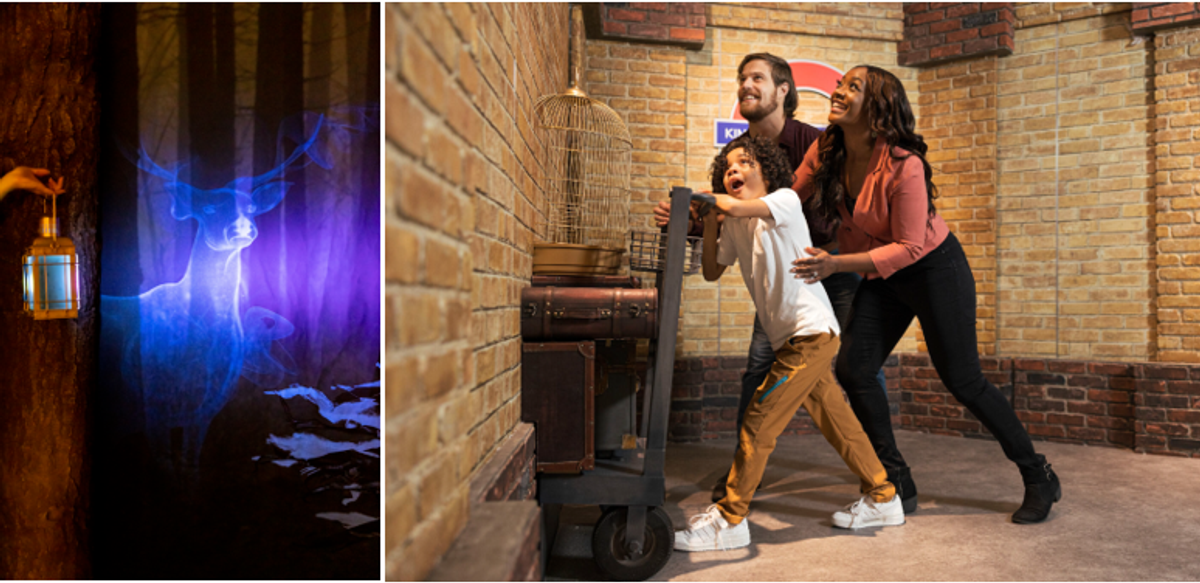 Harry Potter: Magic at Play at The Shops at the Bravern in Bellevue, WA ...