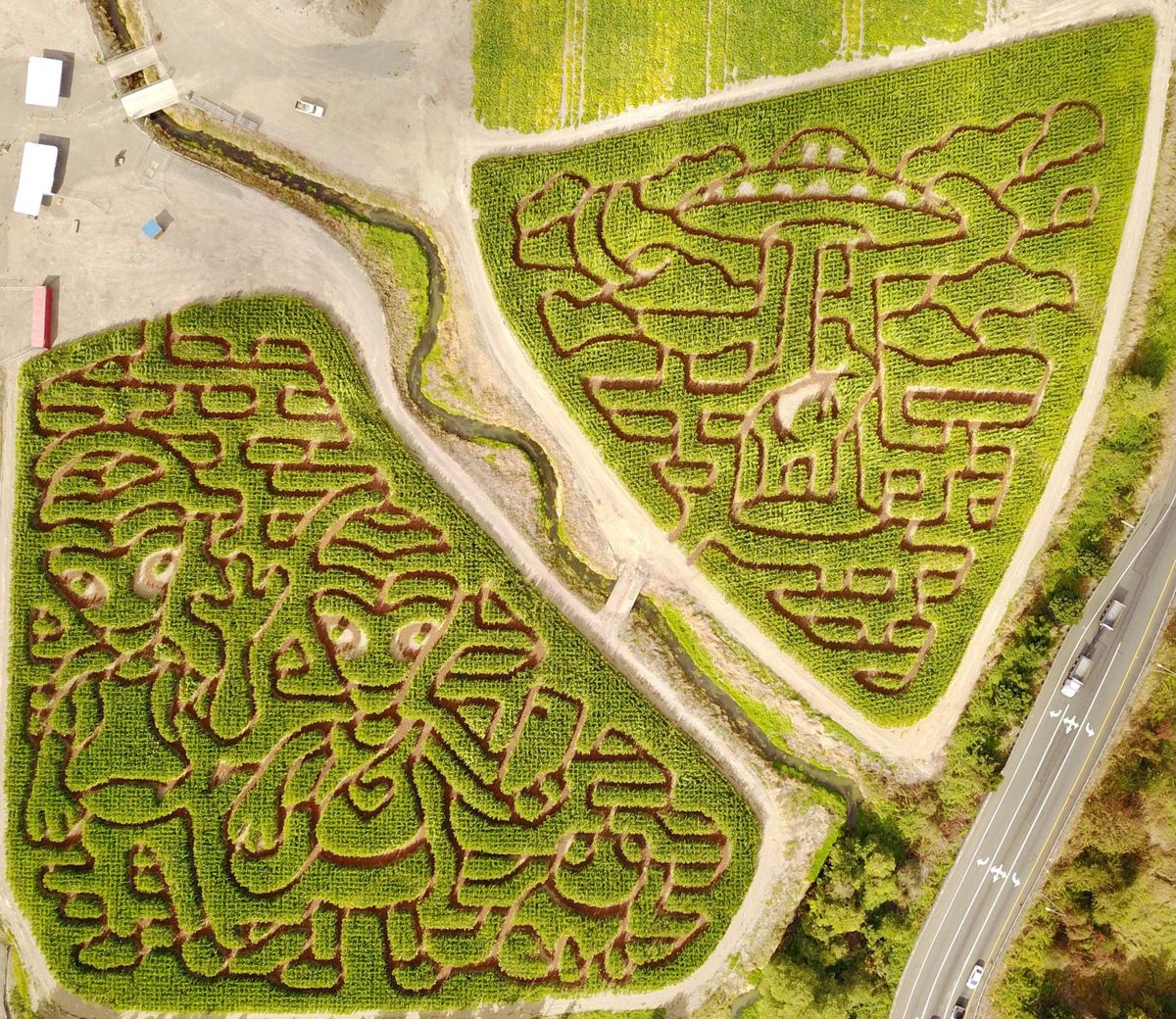 Carpinito Bros. Pumpkin Patch & Corn Maze at Carpinito Brothers in Kent ...