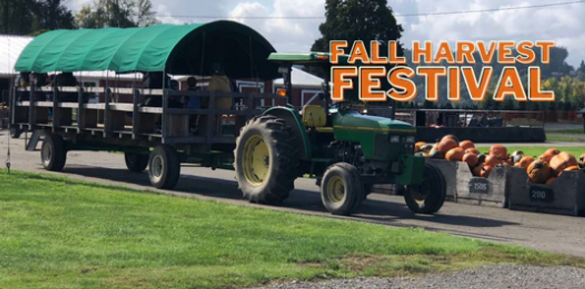 Schilter Family Farm Fall Harvest Festival at Schilter Farms in Olympia ...
