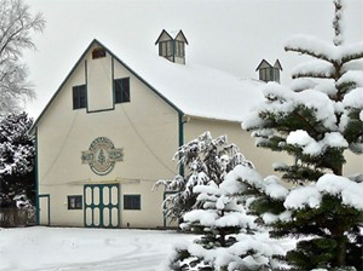 Carnation Tree Farm - 3861 Tolt Ave - Christmas Trees - Carnation, WA ...