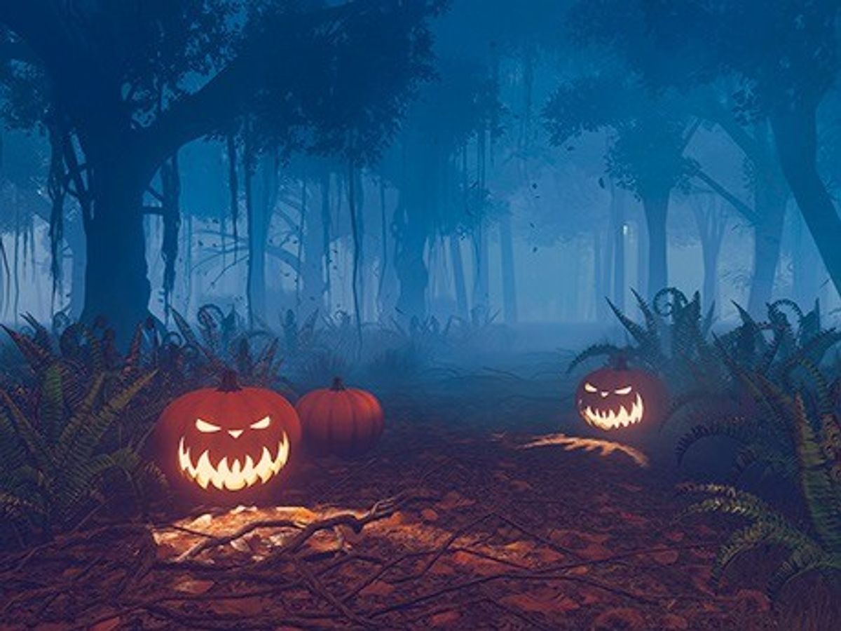 Maris Farms Spooky Trail at Maris Farms in Buckley, WA - Every day ...