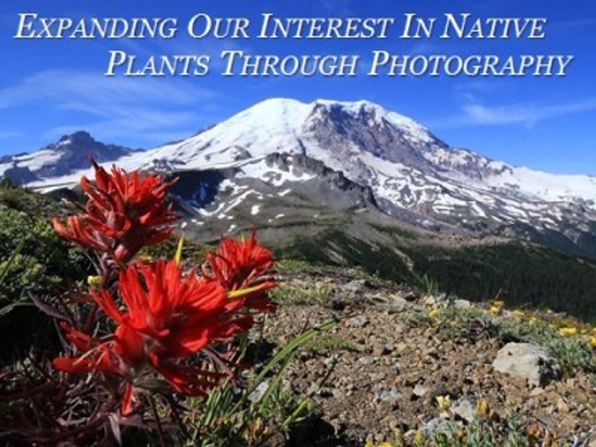 Expanding our Interests in Native Plants through Photography - Multiple ...