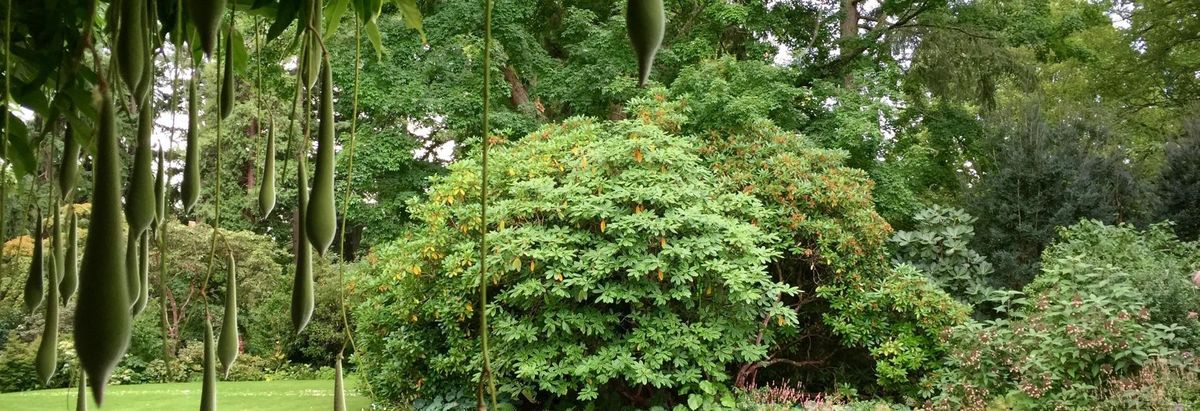 Dunn Gardens - 13533 Northshire Rd NW - Park - Seattle, WA - EverOut ...