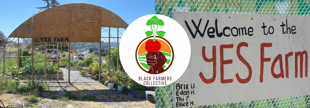 The Power of Community Gardens with the Black Farmers Collective at YES ...