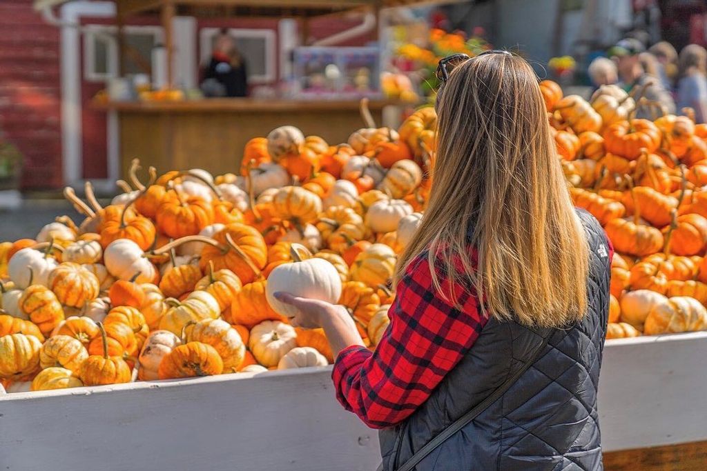 Your Complete Guide to Pumpkin Patches, Corn Mazes, and Hay Rides ...