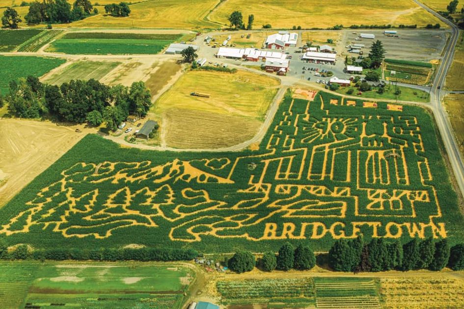 Your Guide to 2021 Fall Festivities Around Portland: Pumpkin Patches ...