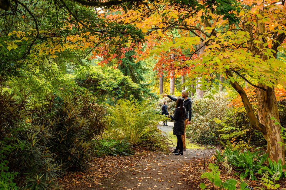 37 Cheap & Easy Seattle Events This Weekend: Oct 15-17, 2021 - EverOut ...