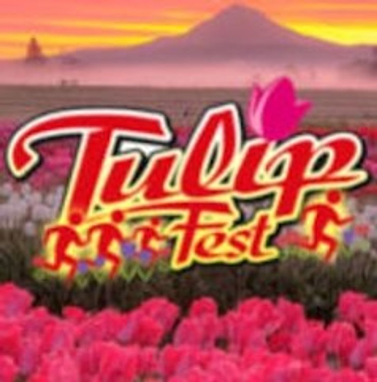Wooden Shoe TulipFest Run at Wooden Shoe Tulip Farm in Woodburn, Oregon ...