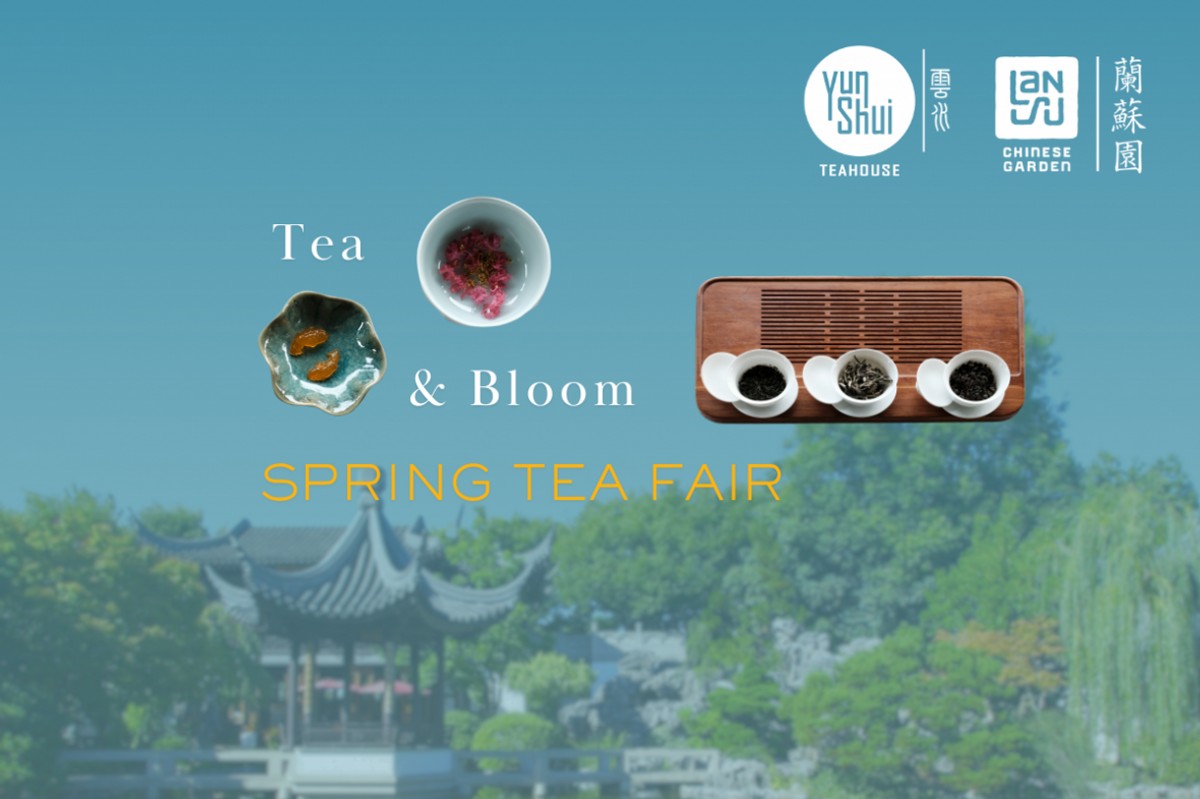 Tea & Bloom Spring Tea Fair at Lan Su Chinese Garden in Portland, OR ...