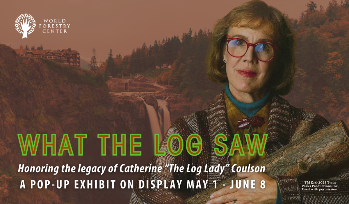 What the Log Saw: Honoring the legacy of Catherine “The Log Lady ...