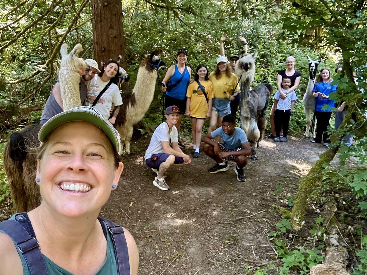 Llama Walks at Frog Pond Farm in Wilsonville, OR - Every Saturday ...