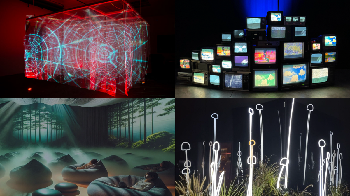 The Immersive Experience Project at Downtown Bellingham in Bellingham ...