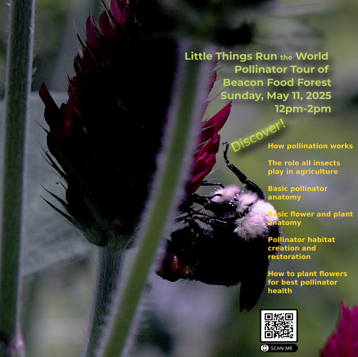 Little Things Run the World: Pollinator Tour of the Beacon Food Forest ...