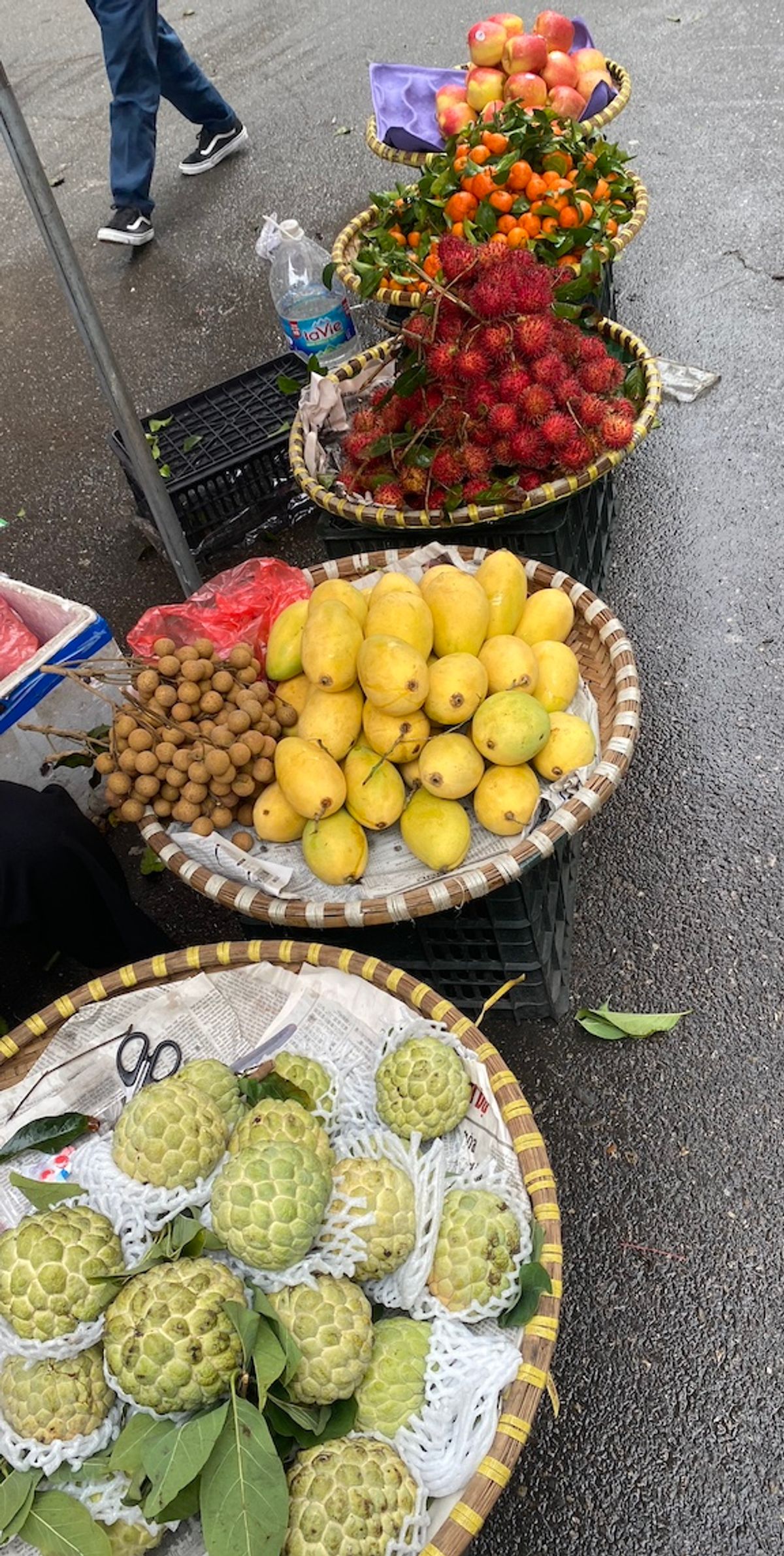 2nd Annual Tropical Fruit Ride at Brentwood Park in Portland, Oregon ...