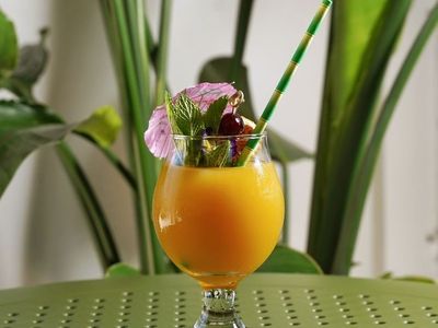 Delta Park Pow Wow and Encampment at East Delta Park in Portland, OR ...