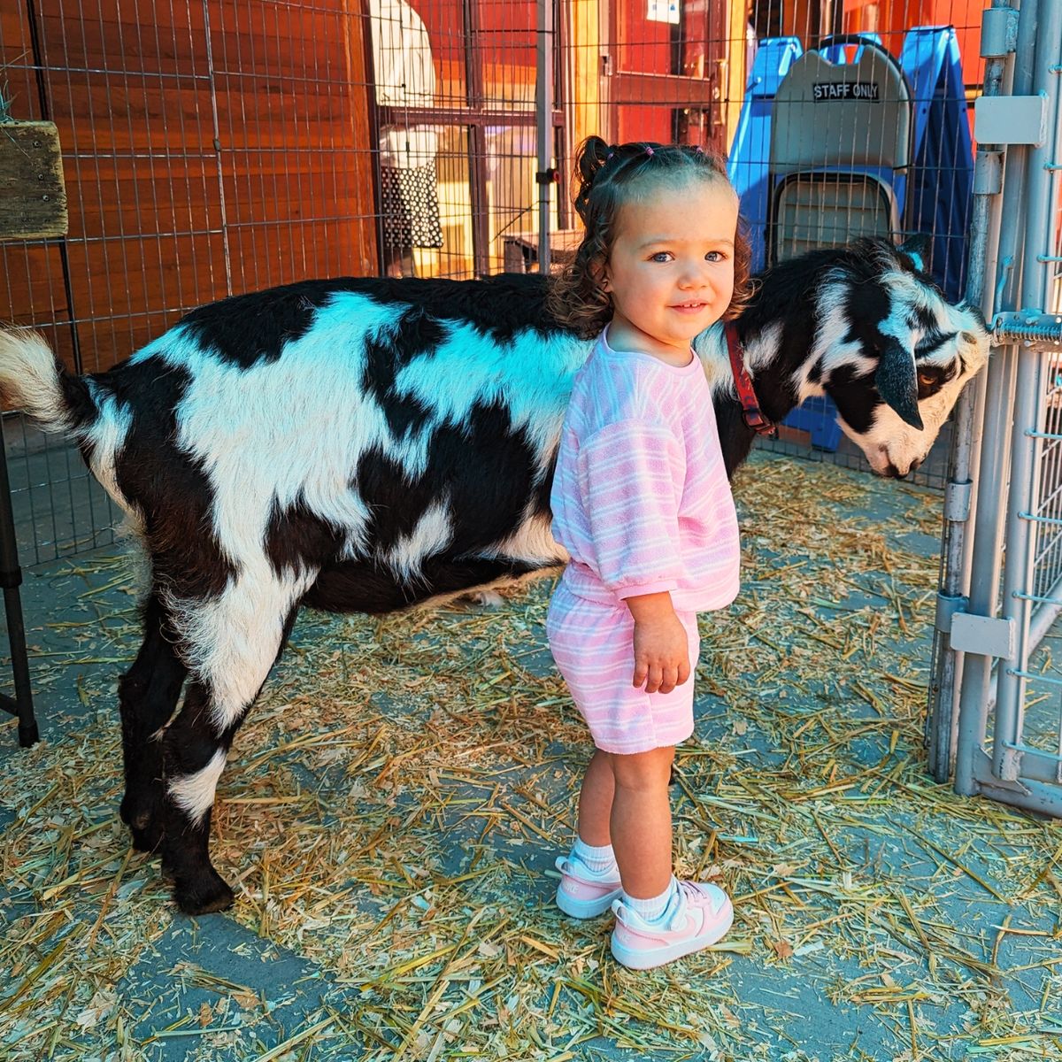 Real Farm Animals with Animal Encounters at Hands On Children's Museum ...
