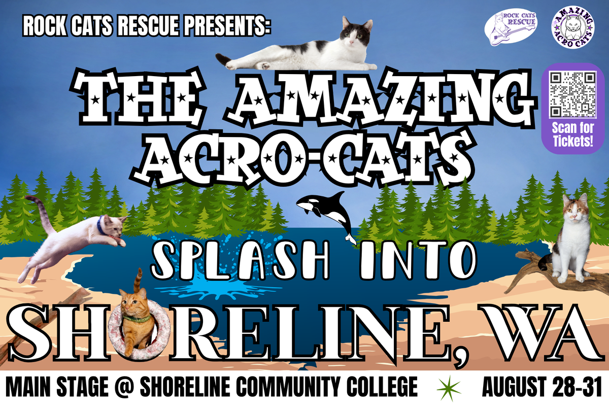 The Amazing Acro-Cats: Splash Into Shoreline at Shoreline Community ...
