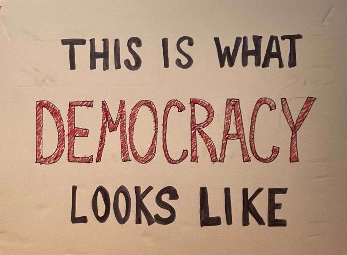 Sue Springer: This is What Democracy Looks Like at Shift Gallery in ...