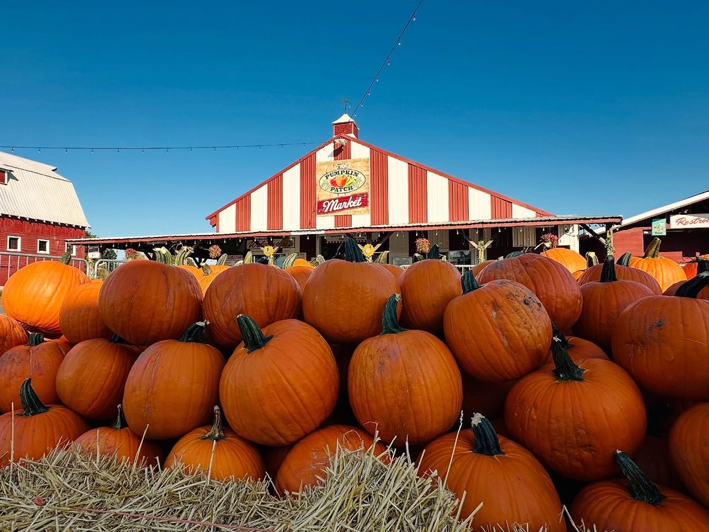 Your Guide to 2025 Fall Festivities Around Portland - EverOut Portland