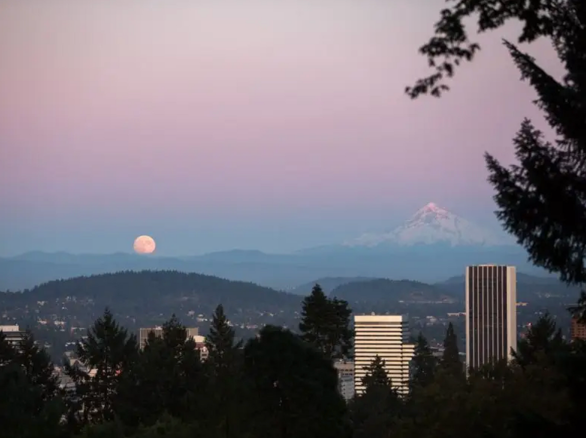 O-Tsukimi Moon Viewing Festival at Washington Park in Portland, OR ...