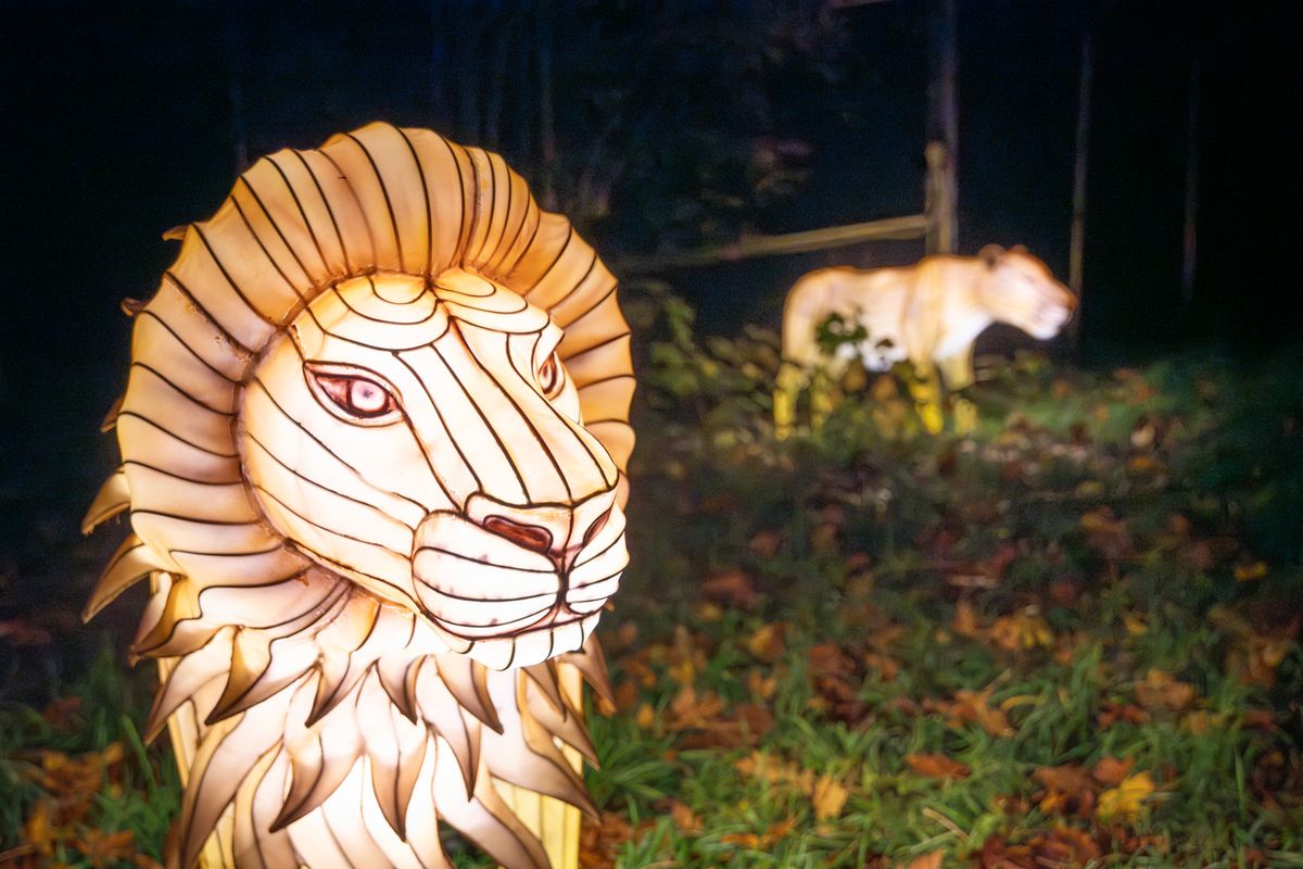 ZooLights at Oregon Zoo in Portland, OR - Every day, through January 4 ...
