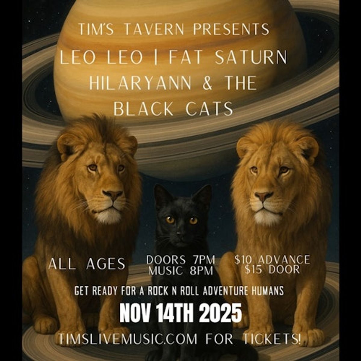 Leo Leo // Fat Saturn // HilaryAnn & The Black Cats at Tim's Tavern in ...