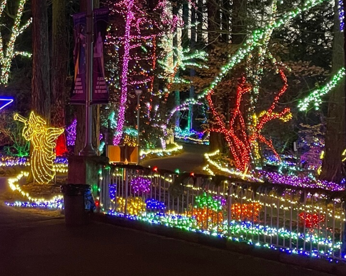 Christmas Festival of Lights 2025 at The Grotto (the National Sanctuary ...