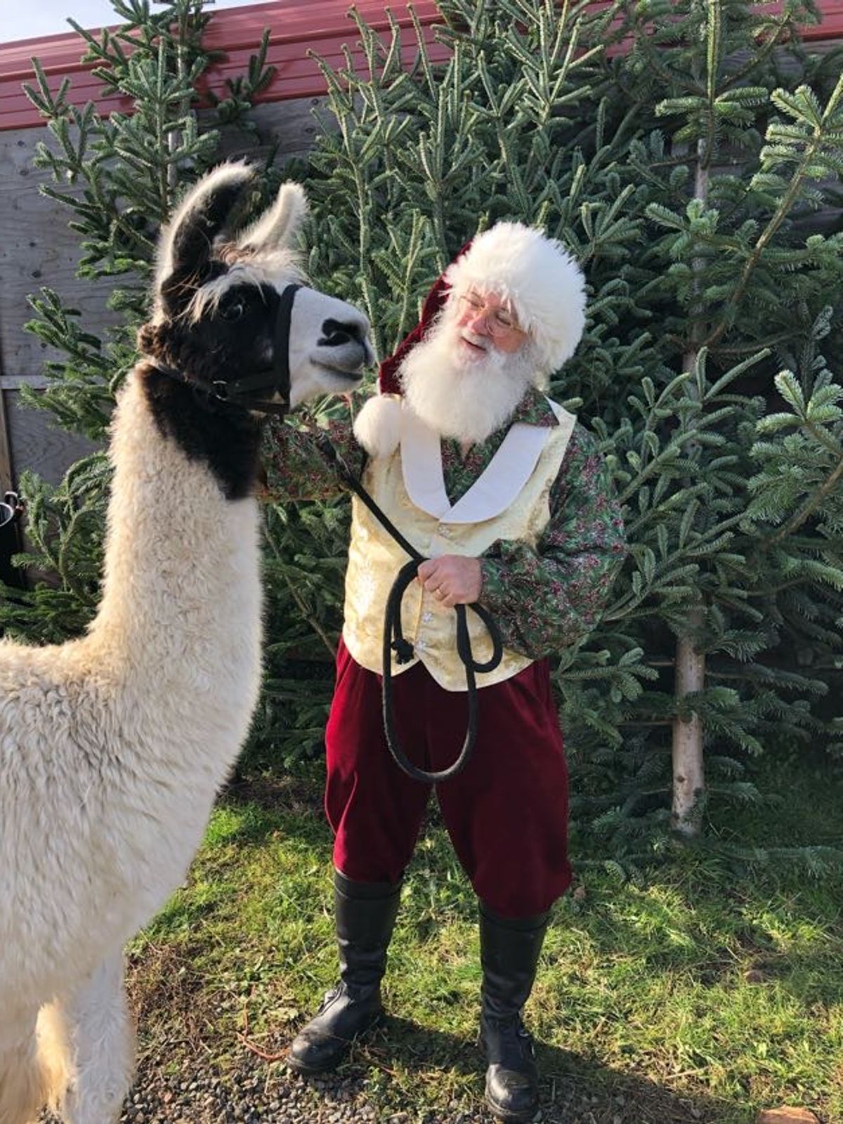 Visit Santa & Mrs. Claus at Frog Pond Farm at Frog Pond Farm in ...