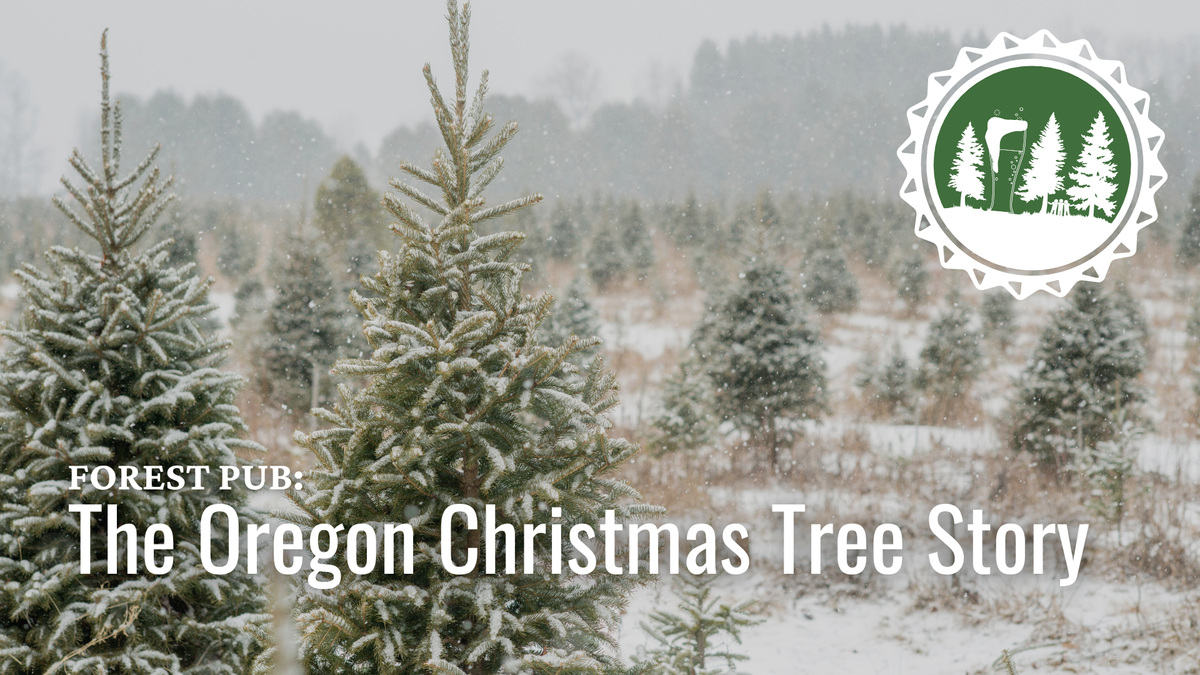 Forest Pub – The Oregon Christmas Tree Story at Mission Theater in ...