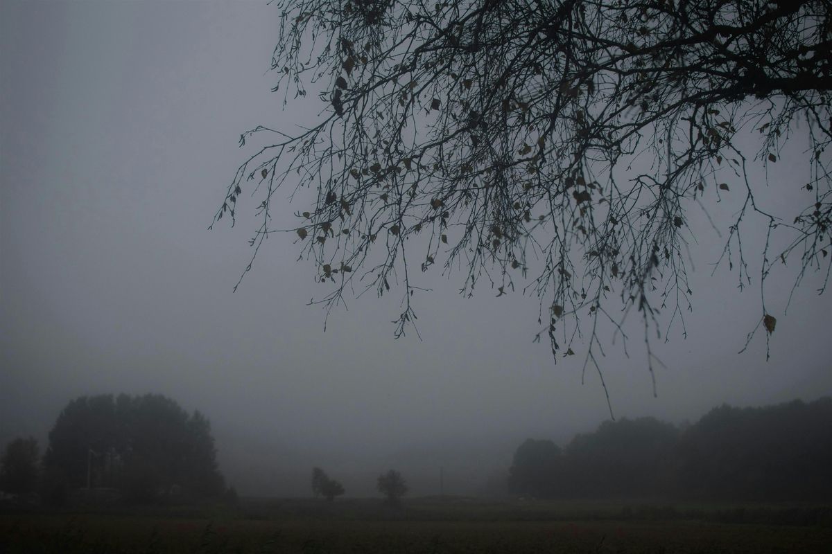 Winter Solstice Weekend: New Moon Magic at Seagrape Apothecary in ...