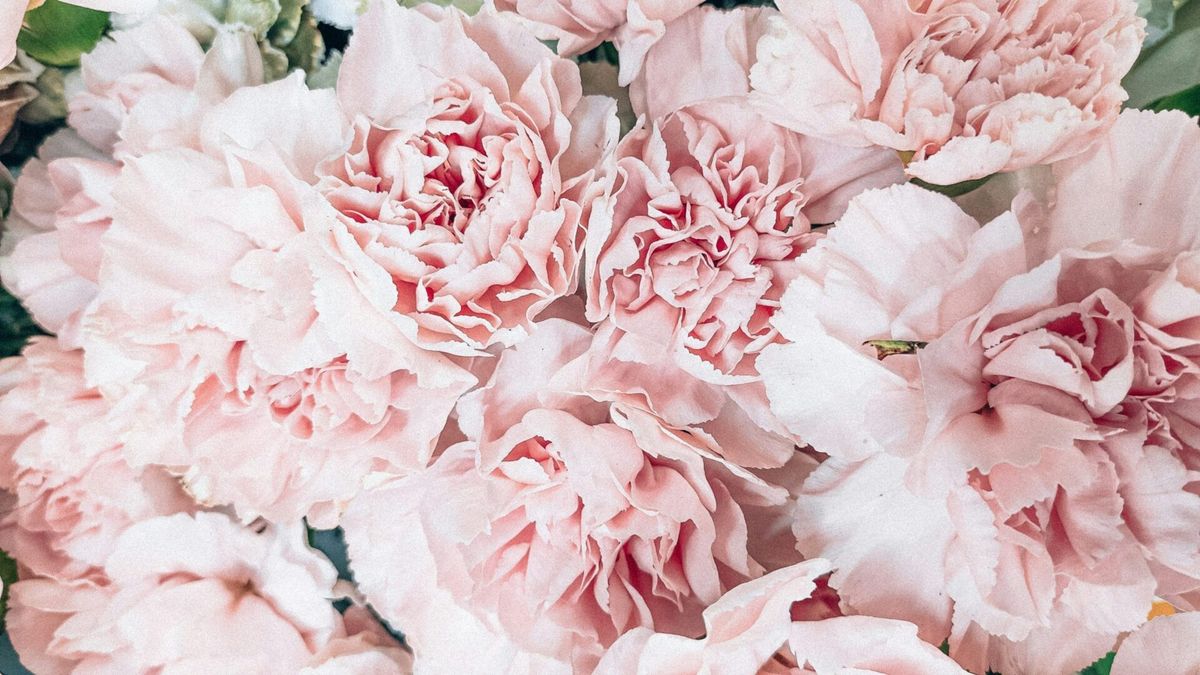 2nd Annual BIMA Blossoms Spring Makers Market at Bainbridge Island ...