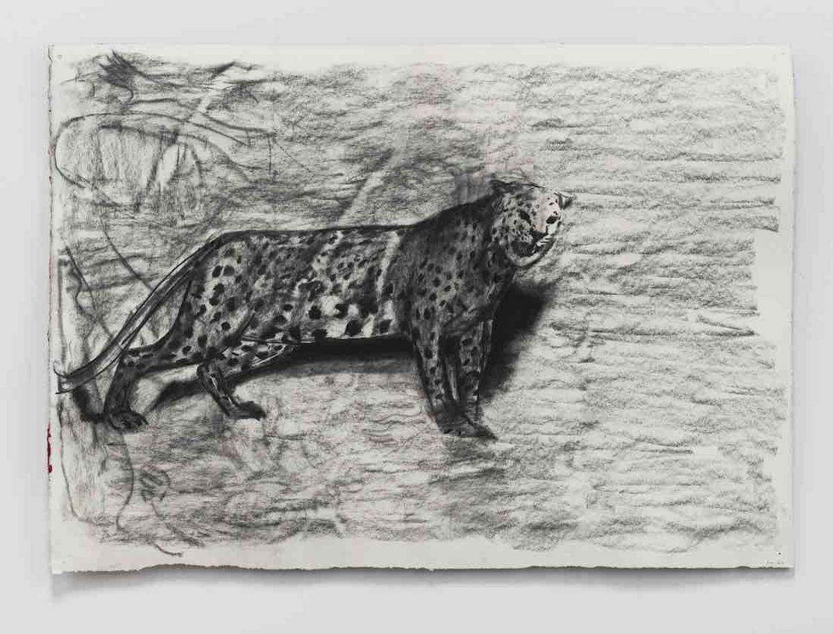 Elizabeth Malaska: Like Honey Among Thorns at Greg Kucera Gallery in ...