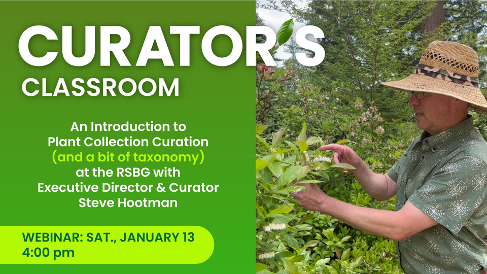Curator's Classroom: An Introduction to Plant Collection Curation ...