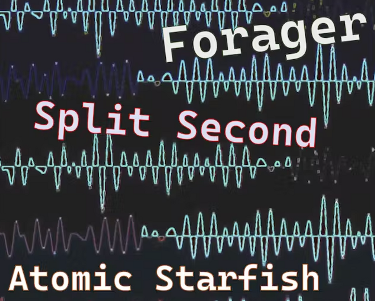 Forager, Split Second, and Atomic Starfish at Sunset Tavern in Seattle, WA - Sunday, January 14 ...