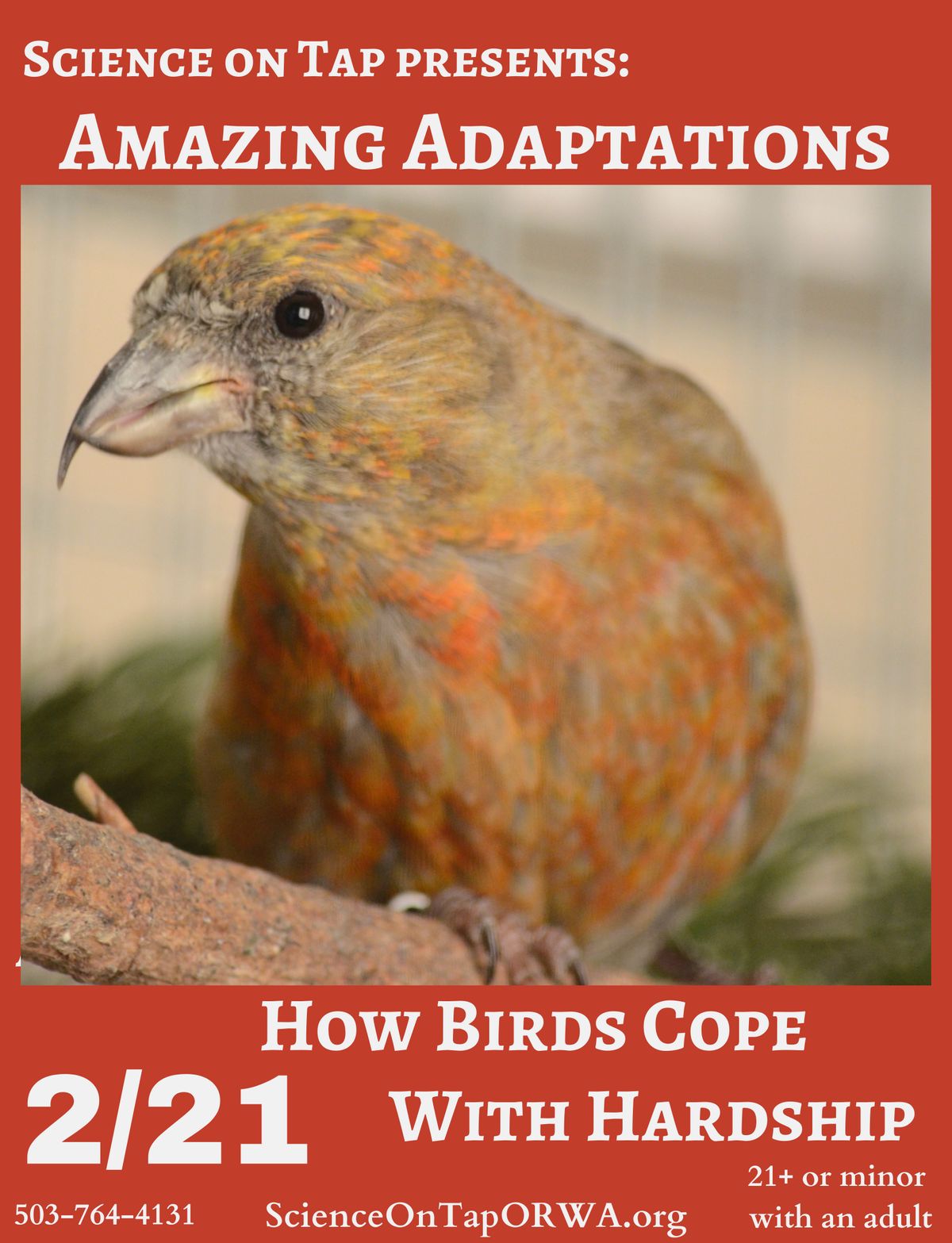 Science On Tap - Amazing Adaptations: How Birds Cope with Hardship at ...
