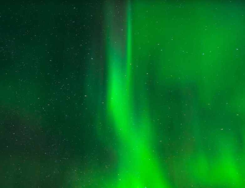 Ginny Ruffner: Project Aurora at National Nordic Museum in Seattle, WA ...