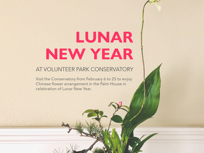 Seattle Community Events Calendar - EverOut Seattle