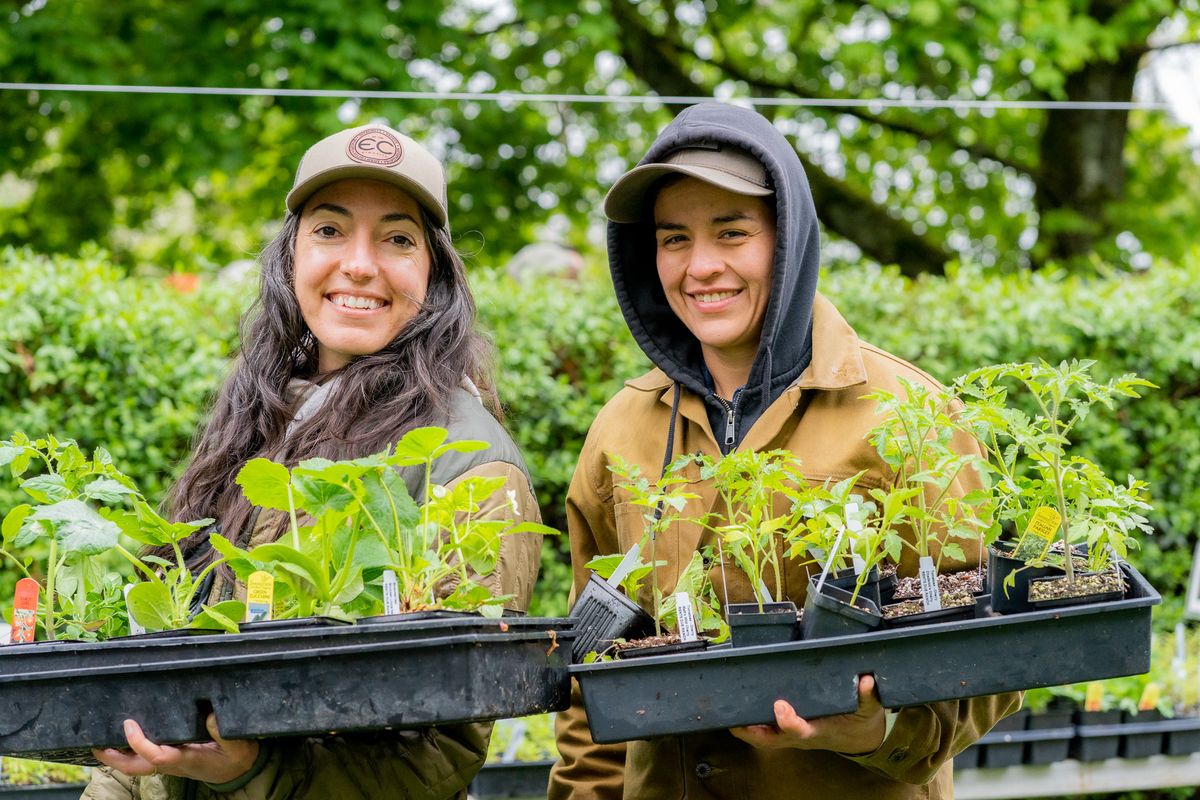 Tilth Alliance's May Edible Plant Sale at Meridian Playground in ...