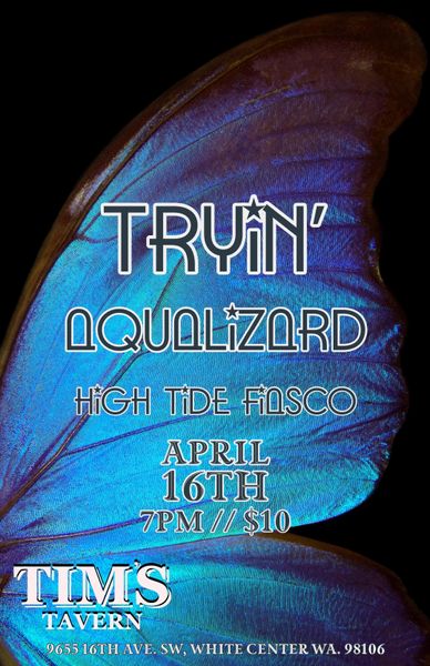 Rock-O-Taco Tuesday: Tryin', Aqualizard, and High Tide Fiasco at Tim's ...