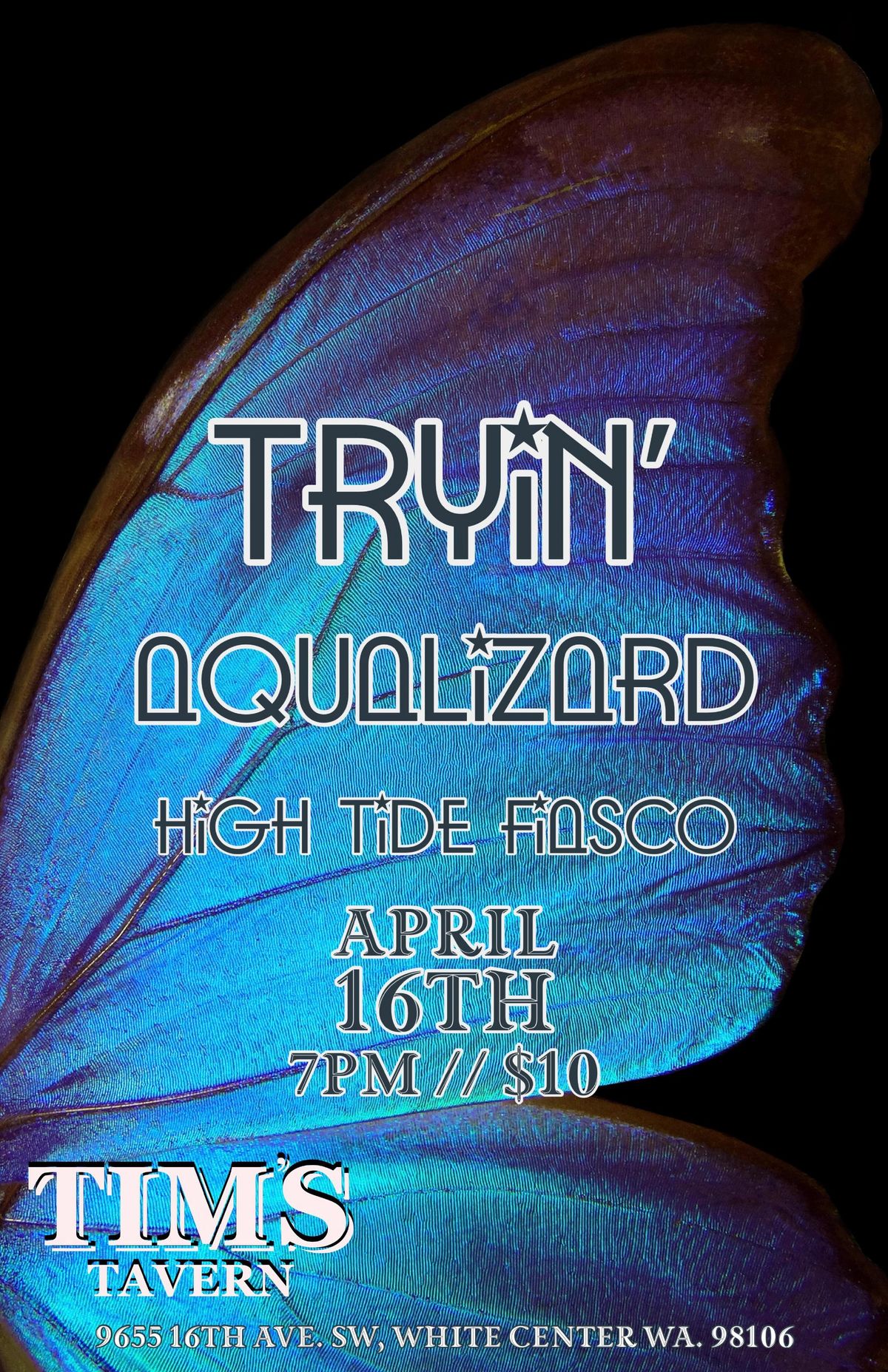 Rock-O-Taco Tuesday: Tryin', Aqualizard, and High Tide Fiasco at Tim's ...